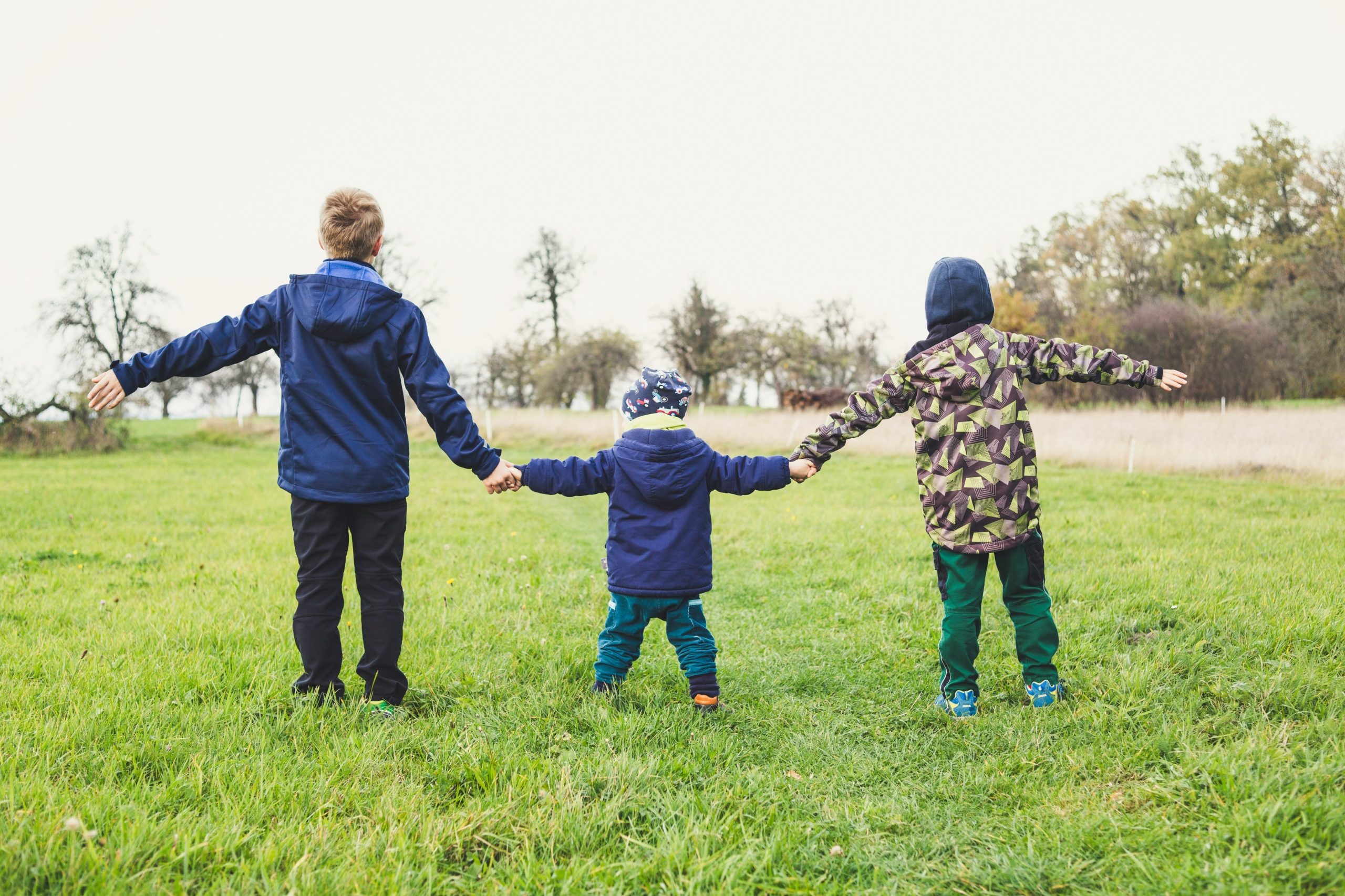 Avec les Petits Débrouillards, l’éveil à l'écologie décolle ! - L'Onde ...